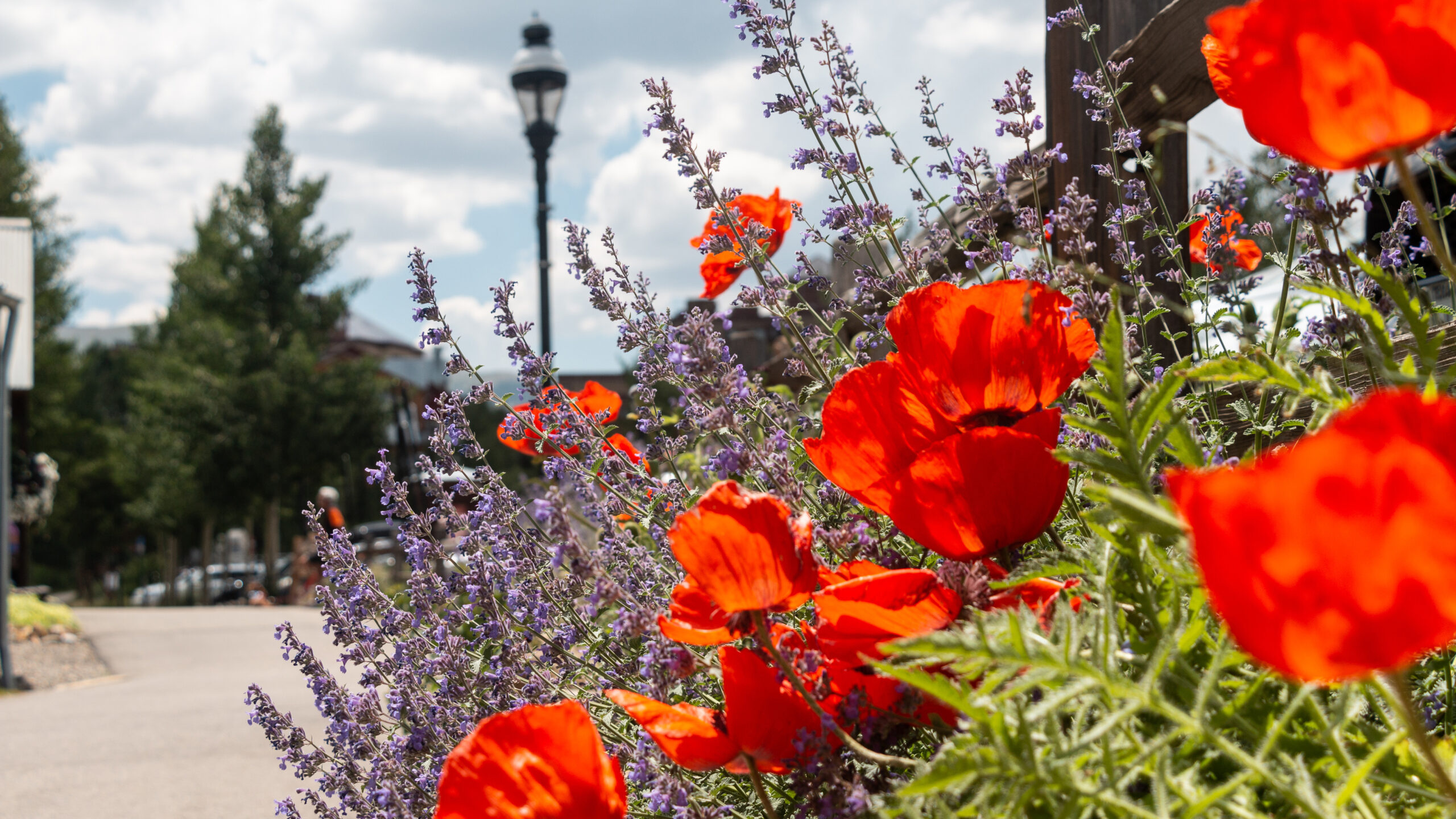 Proposition 123 - Colorado Affordable Housing Financing Fund
